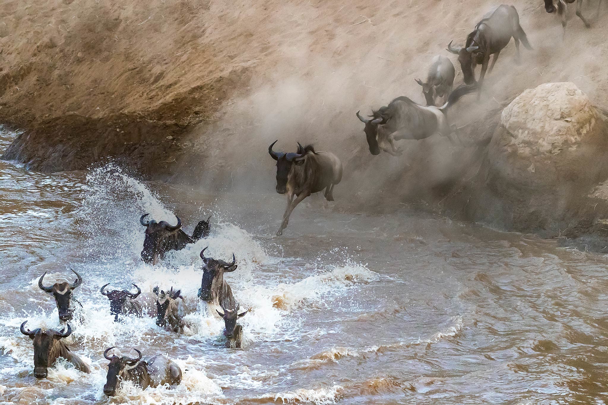 Maasai Mara National Reserve Safari – Kenya | Rhino Africa