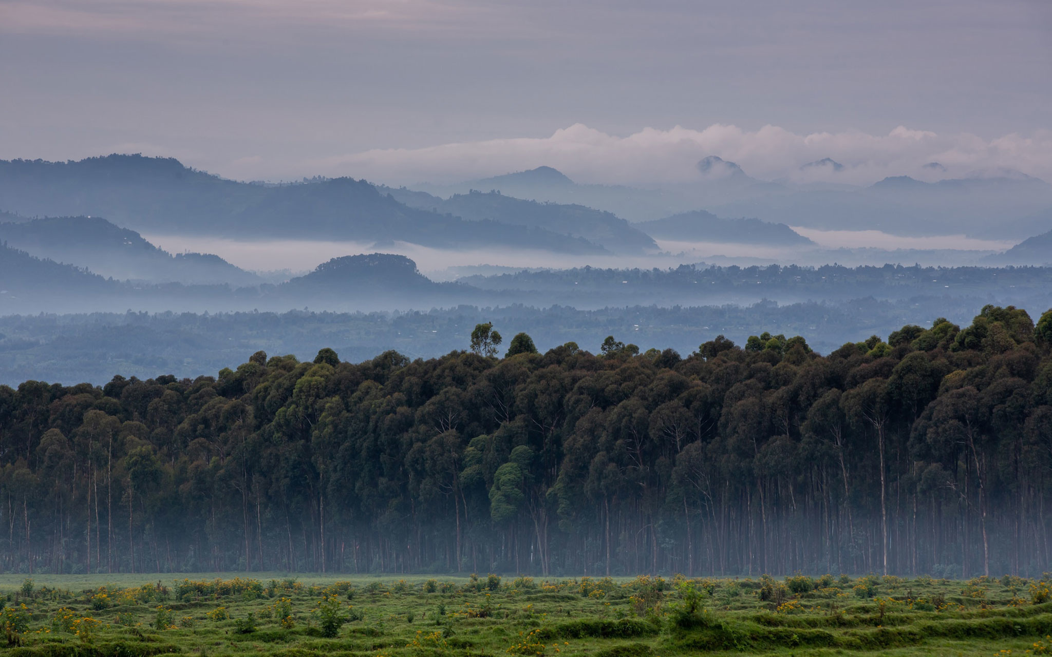 Rwanda Travel Guide - Safaris and Tours | Rhino Africa