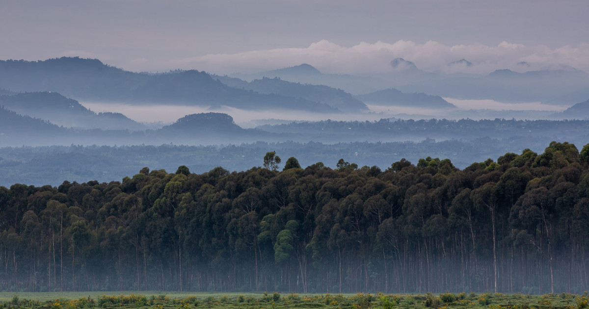 Le Rwanda, surnommé pays aux milles Collines | Rhino Africa