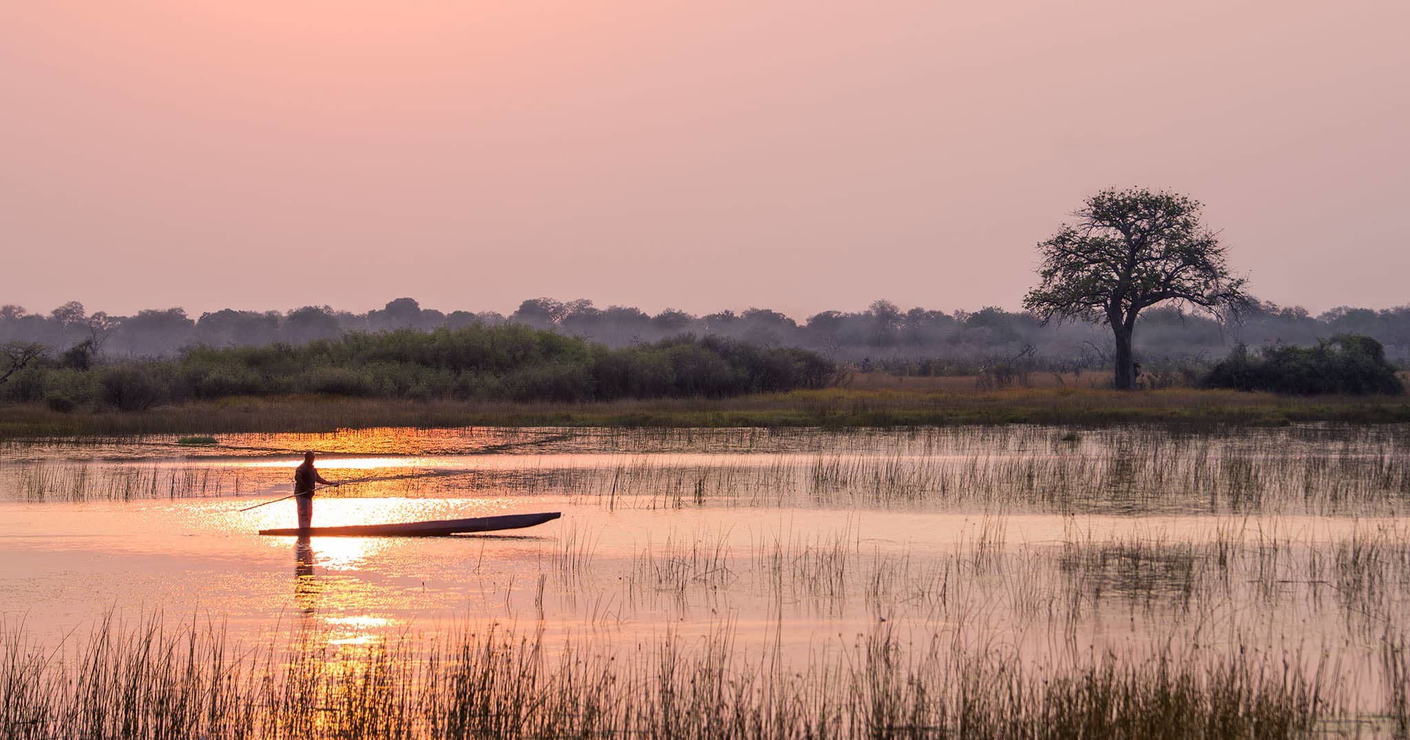 Moremi and Okavango Delta Safari – Botswana | Rhino Africa