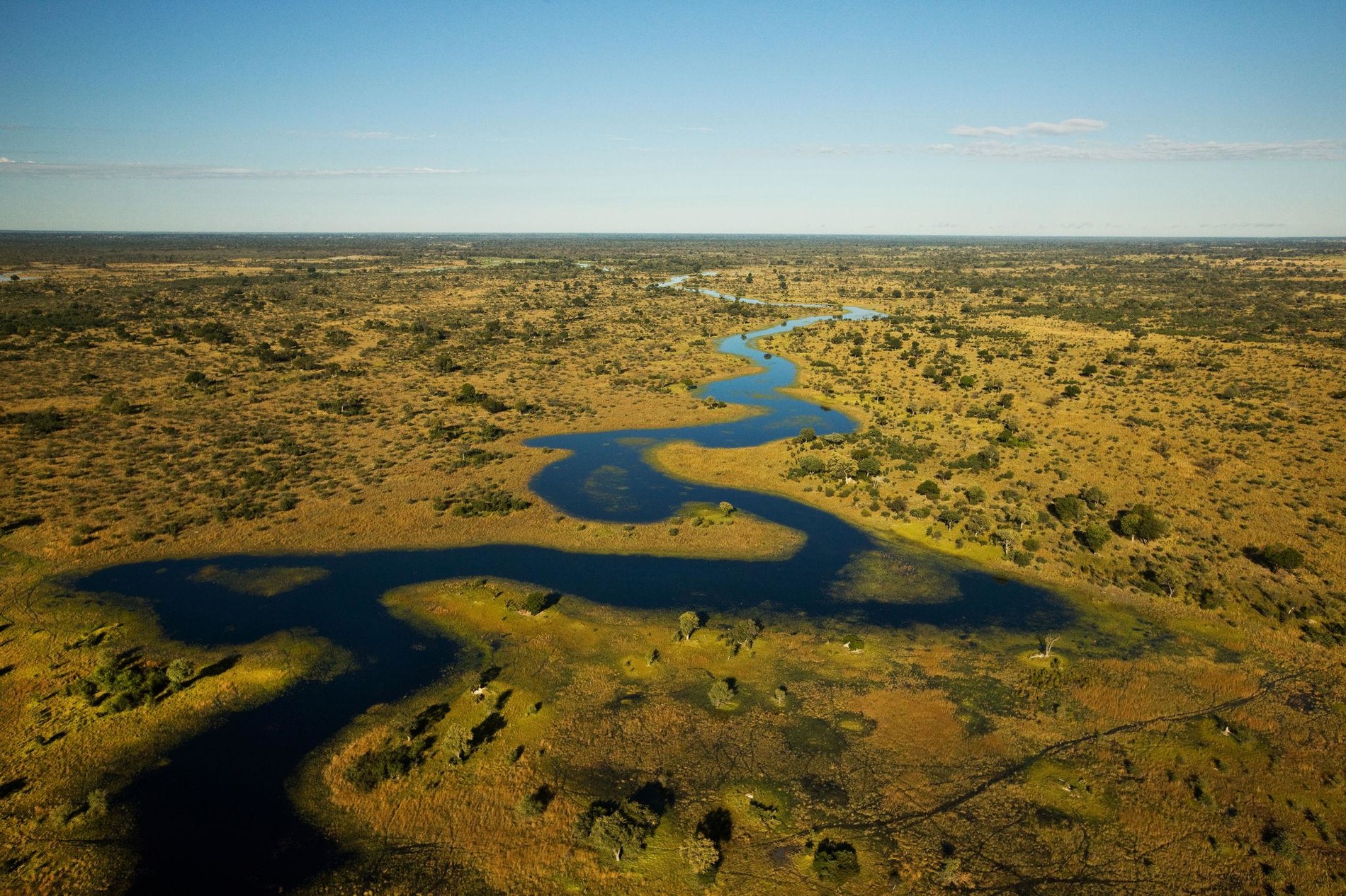 Selinda Nature Reserve - Botswana | Rhino Africa