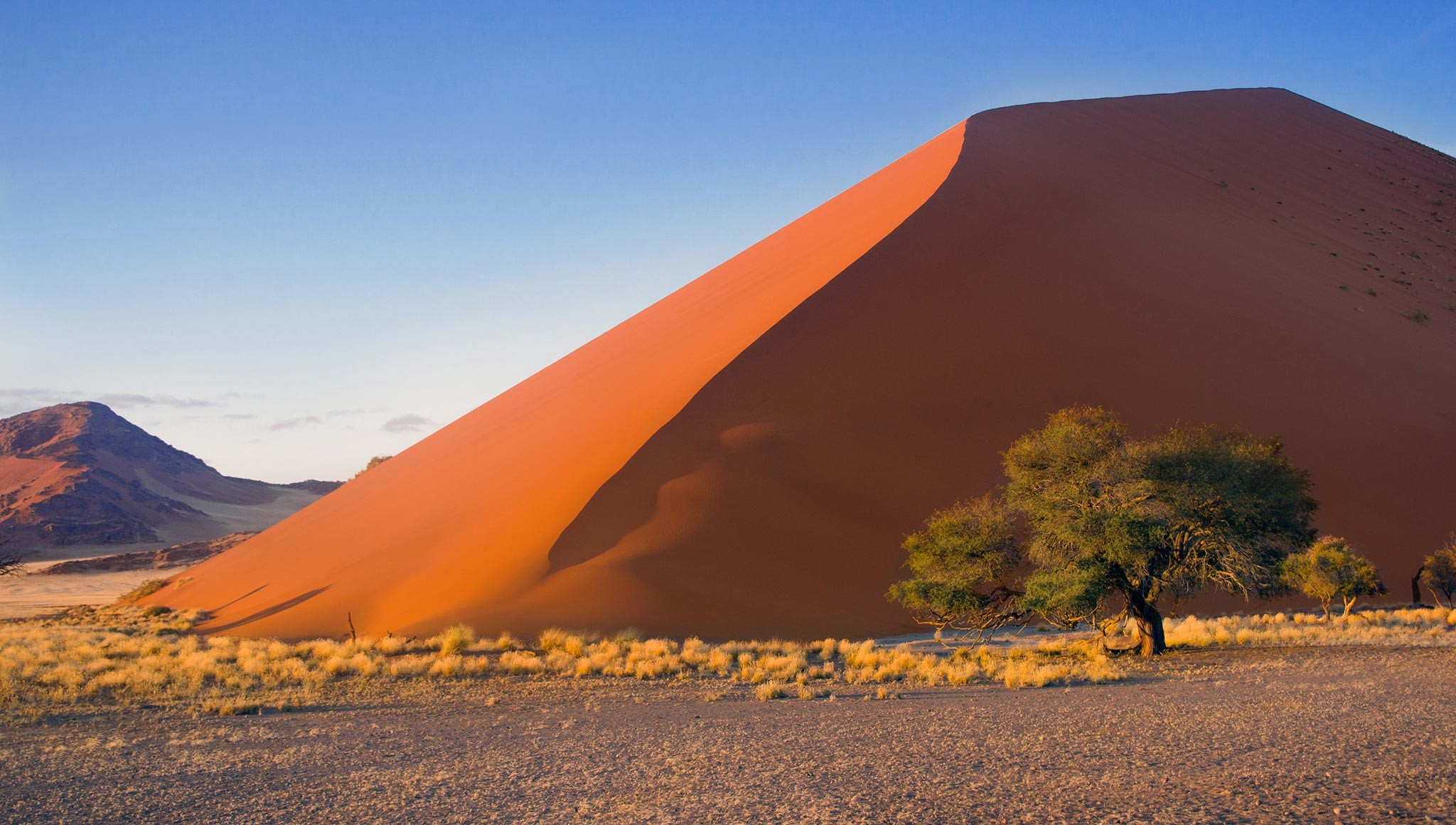 Namibia travel and safari guide - when, where, cost | Rhino Africa