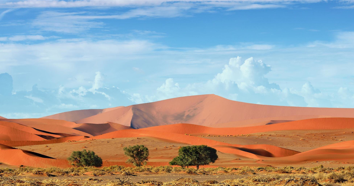 Namib - Reisen in die Namib-Wüste (Namibia) | Rhino Africa