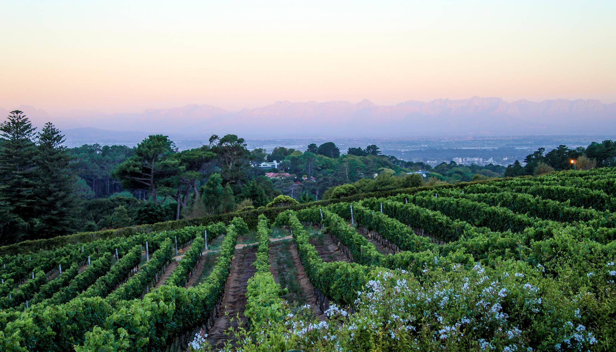 Southern Suburbs - Cape Town Destinations | Rhino Africa