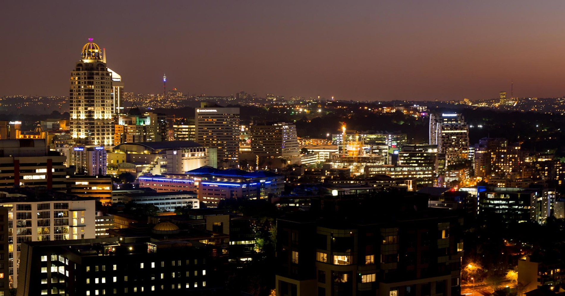 Gauteng – South Africa l Rhino Africa