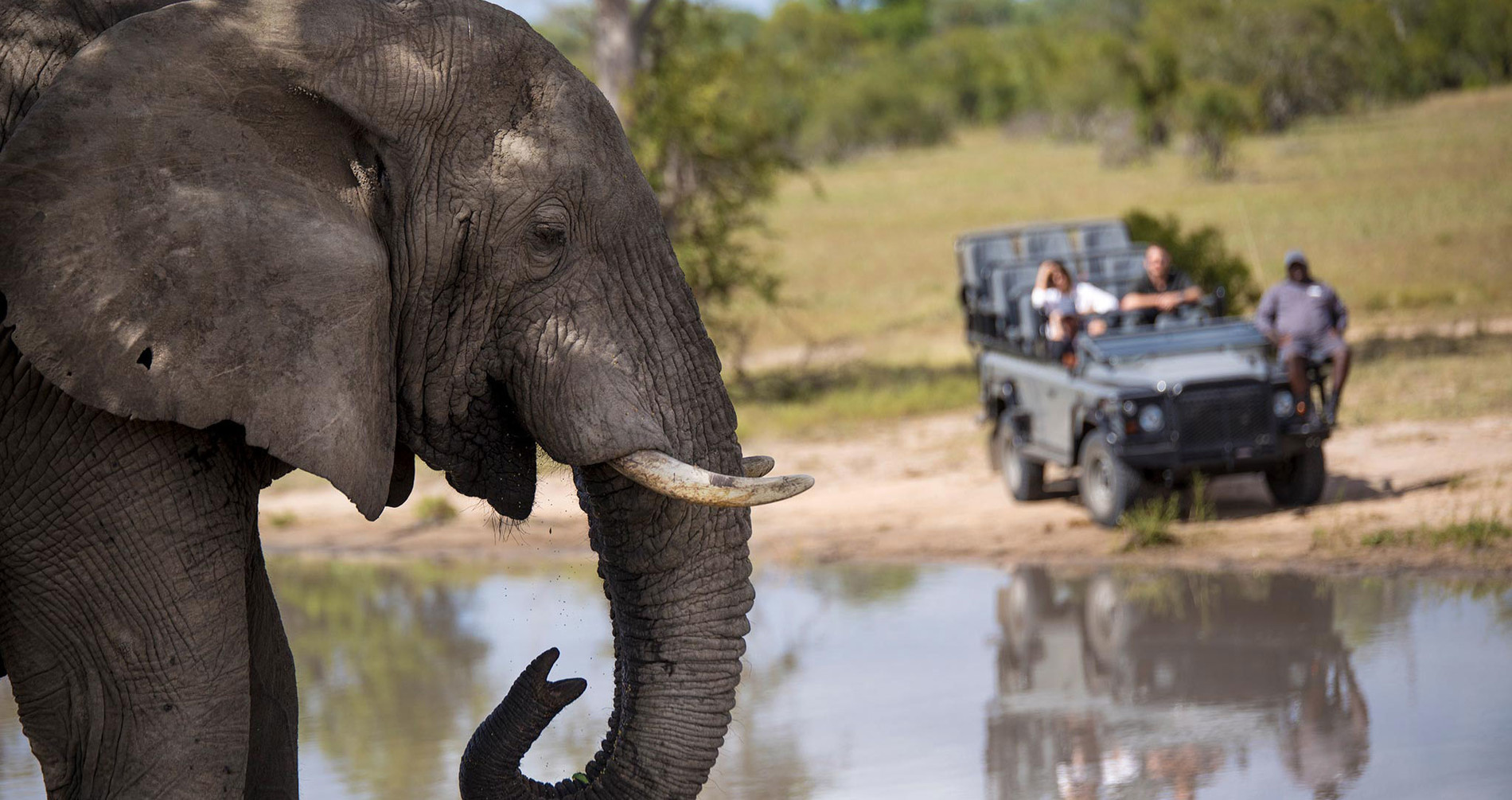 Kruger National Park Safari - 3 days | Rhino Africa