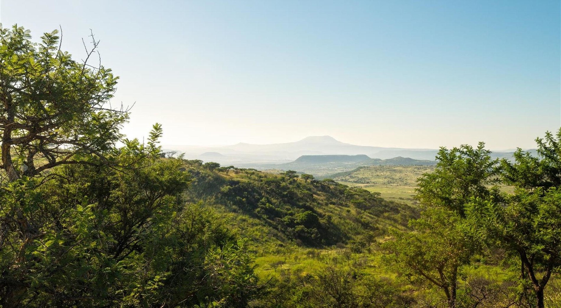 KwaZulu-Natal Battlefields – South Africa | Rhino Africa