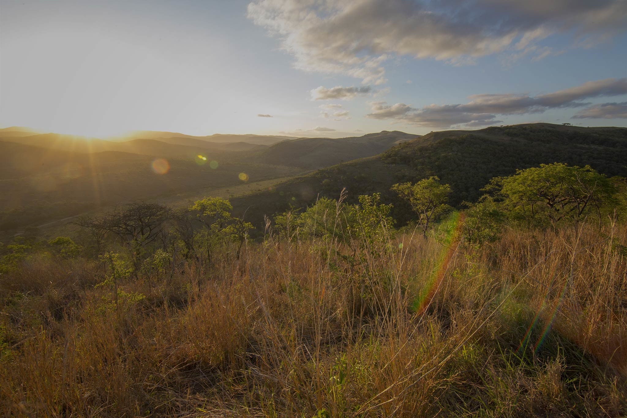 Hluhluwe–iMfolozi Park Safari Tours | Rhino Africa