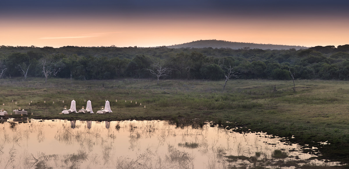 Phinda Private Game Reserve - KwaZulu-Natal Safari | Rhino Africa