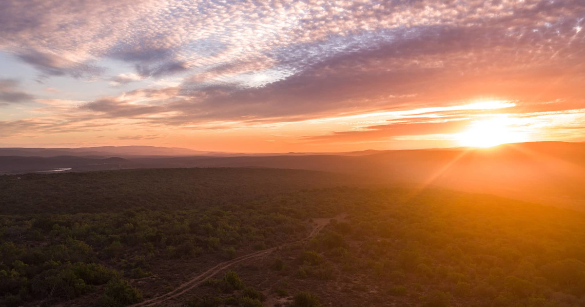 Samantha Myburgh | Rhino Africa