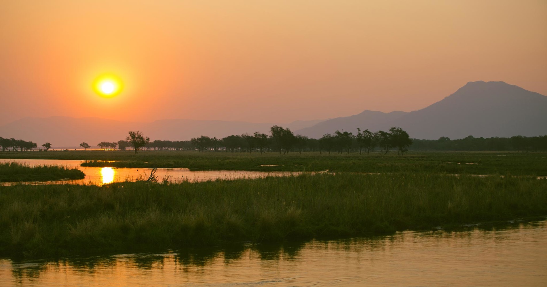 Lower Zambezi National Park - Safari Info | Rhino Africa