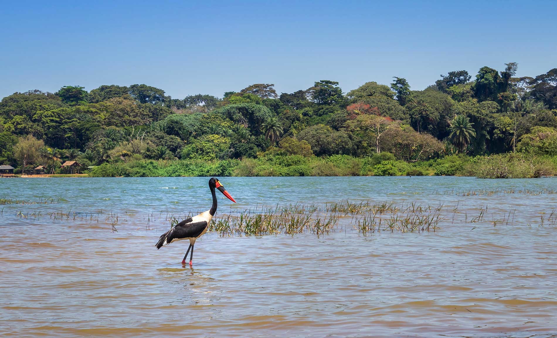 Entebbe, Uganda - Safari and Tours | Rhino Africa