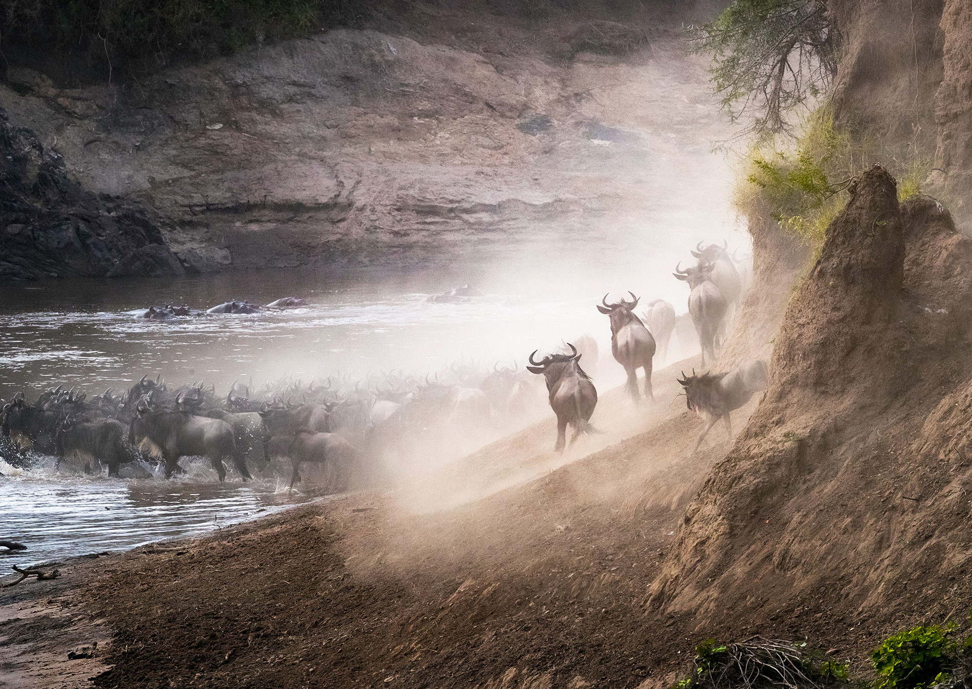 East African Safari - 14 days | Rhino Africa