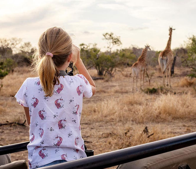 Book African Safaris, Tours & Experiences | Rhino Africa