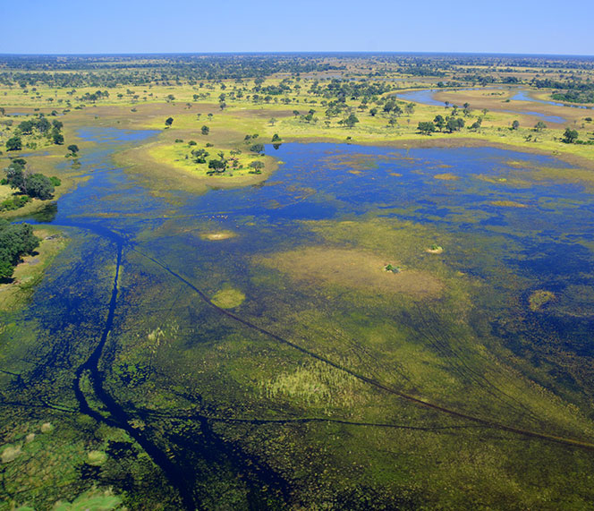 Book African Safaris, Tours & Experiences | Rhino Africa