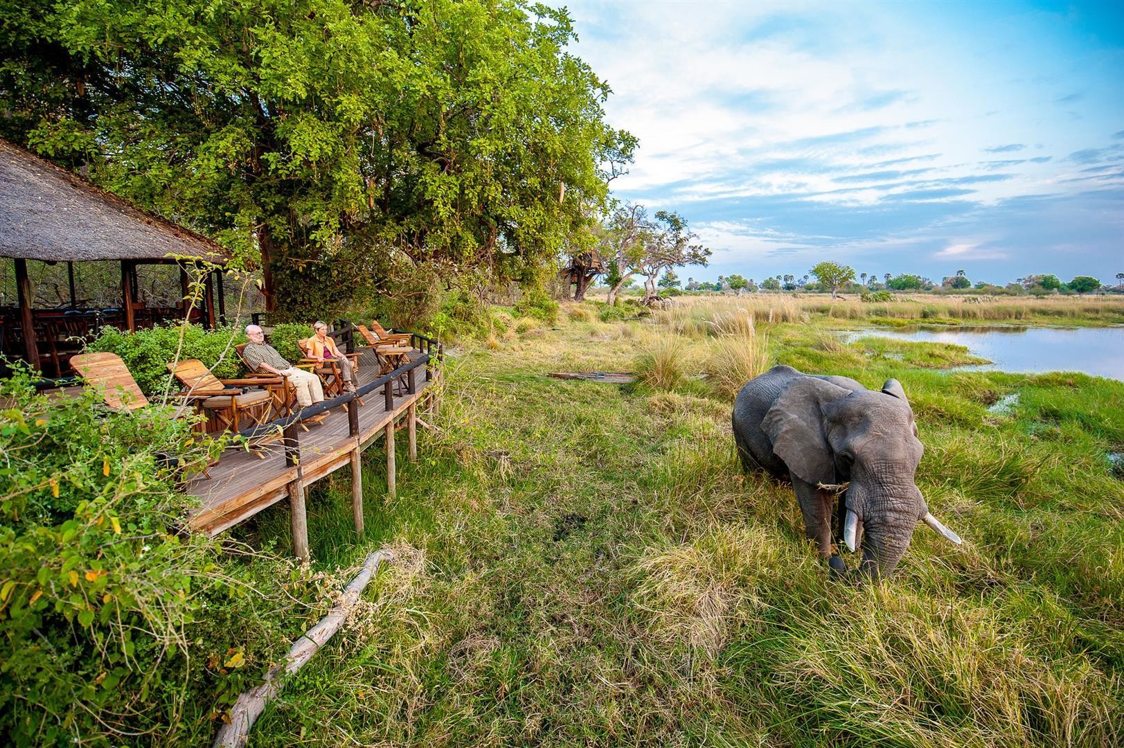 Delta Camp - Botswana | Rhino Africa