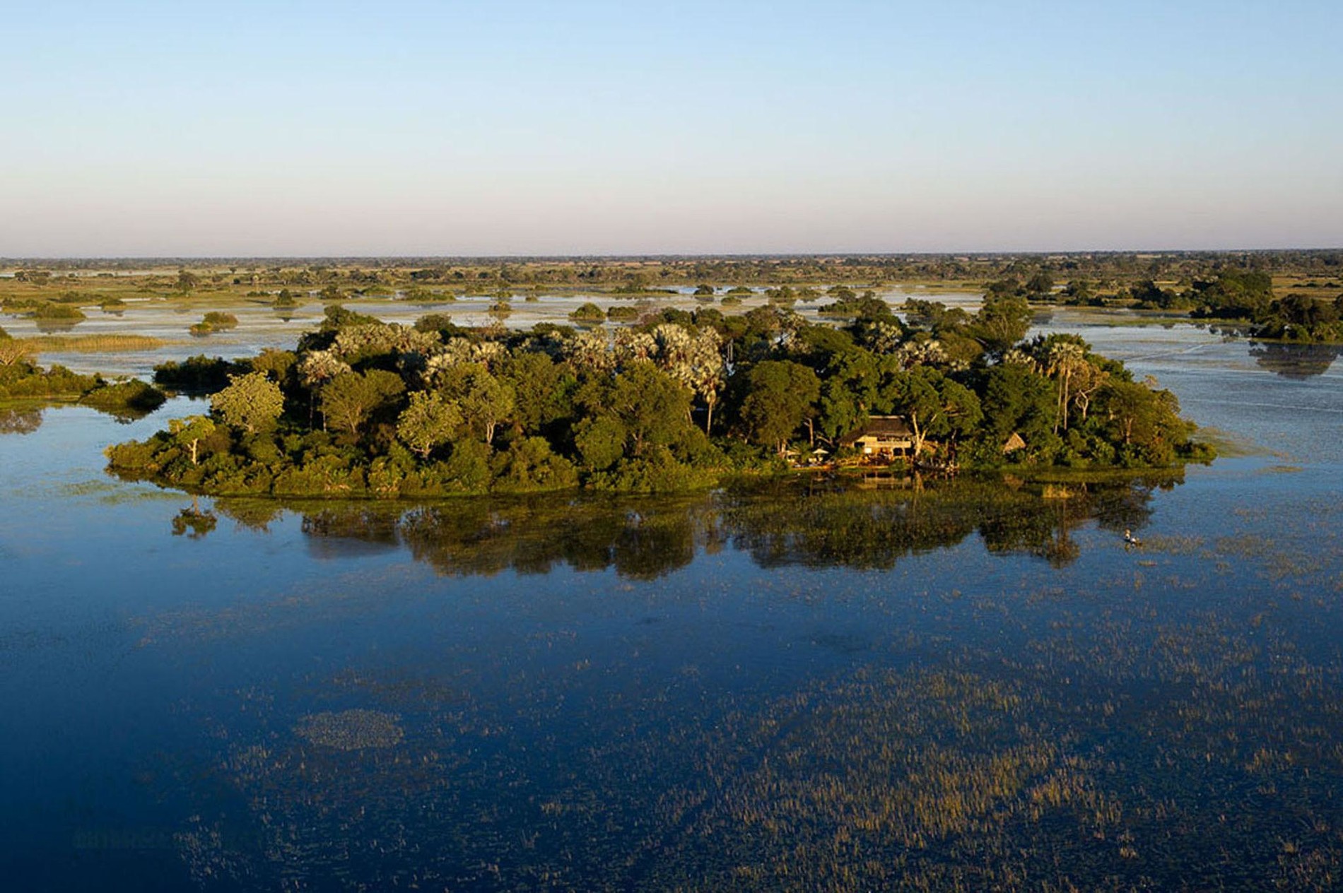 Jacana Camp - Moremi Game Reserve | Rhino Africa