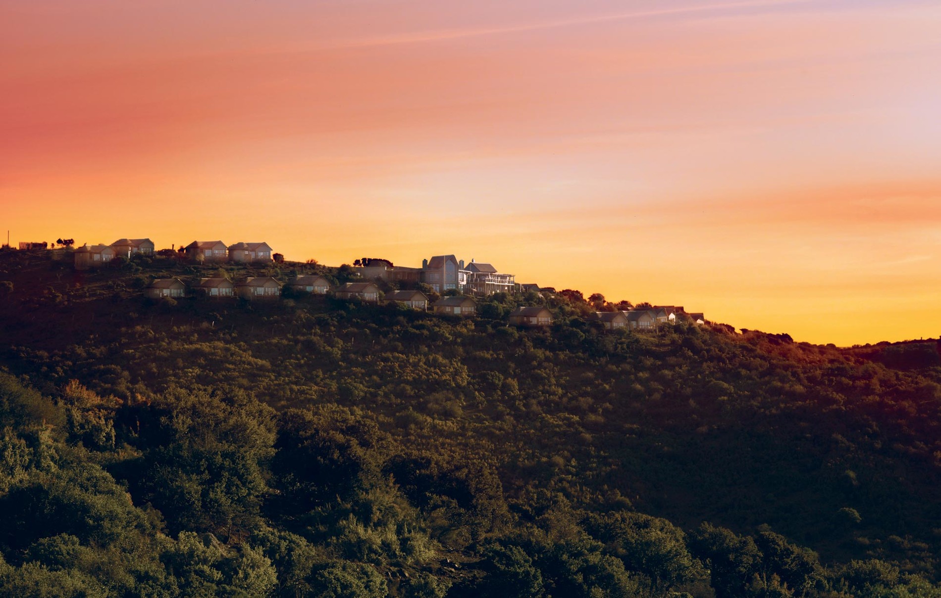 Best Addo Elephant Park Lodges – South Africa | Rhino Africa