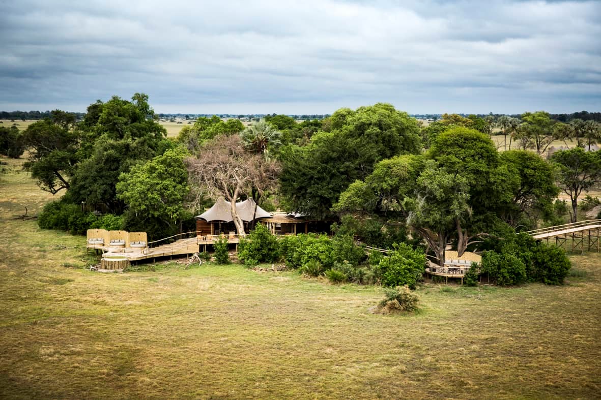 Little Mombo Camp - Okavango Delta | Rhino Africa