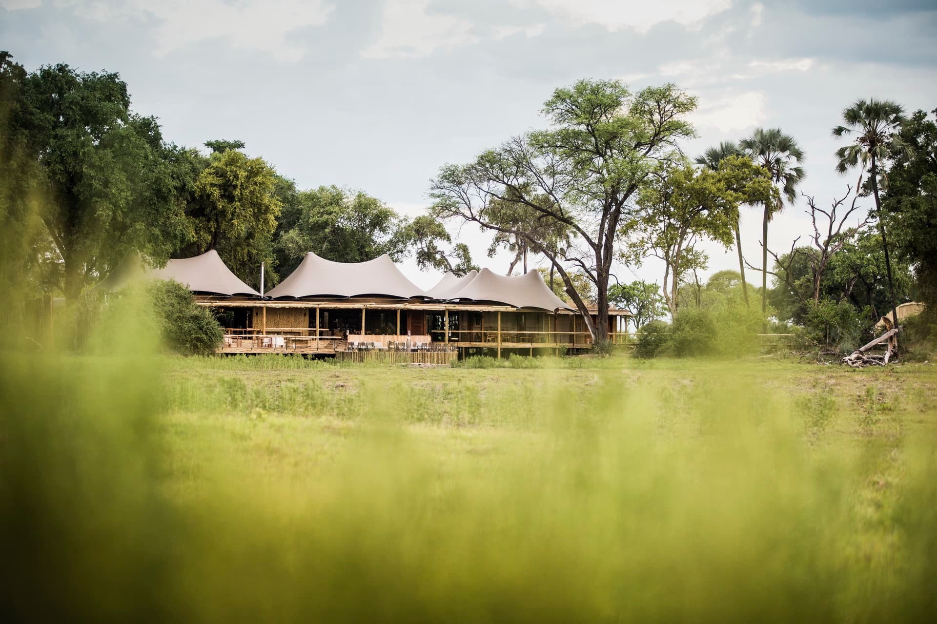 Mombo Camp - Safari au Delta de l'Okavango | Rhino Africa