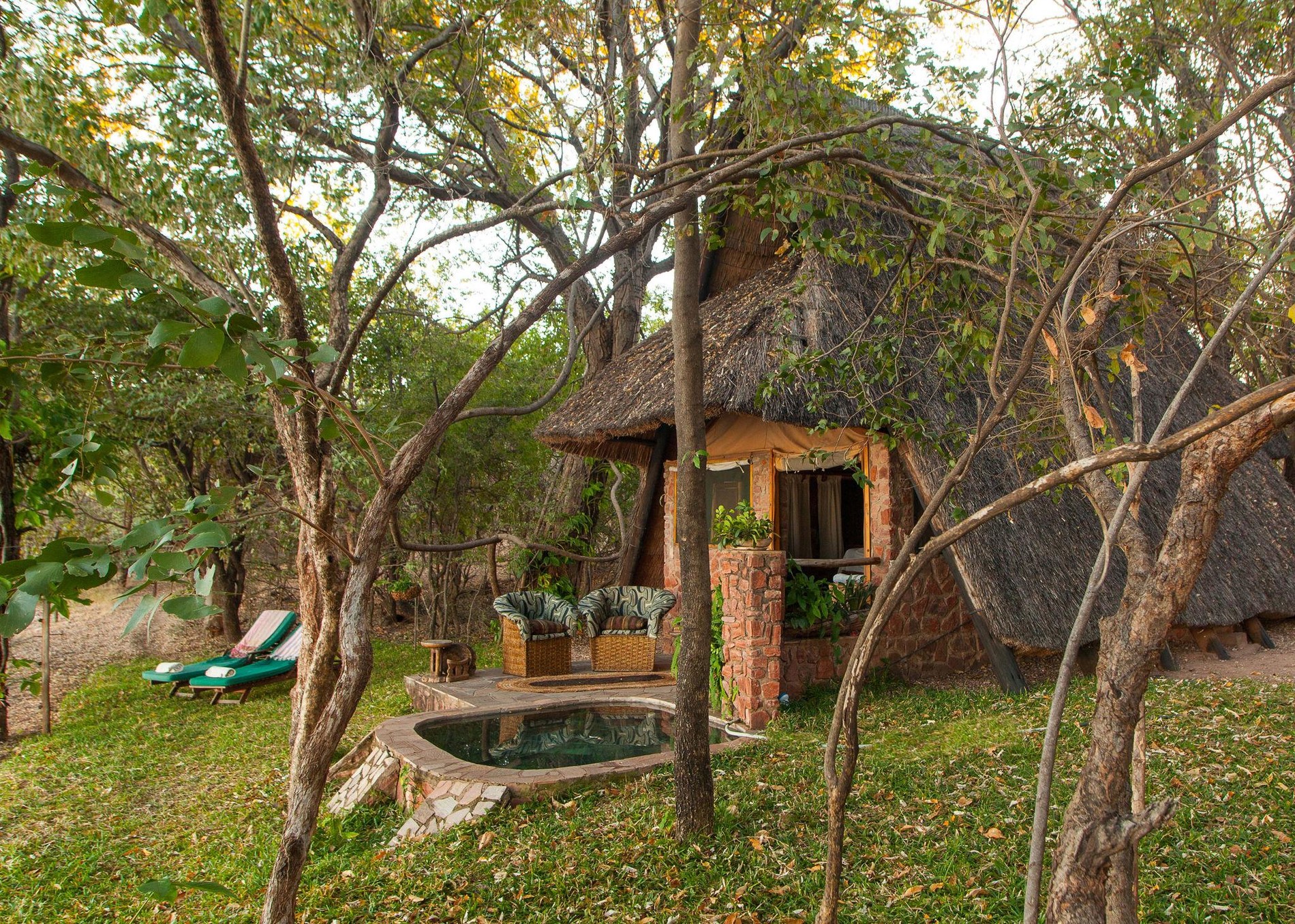 Musango Safari Camp - Zimbabwe | Rhino Africa