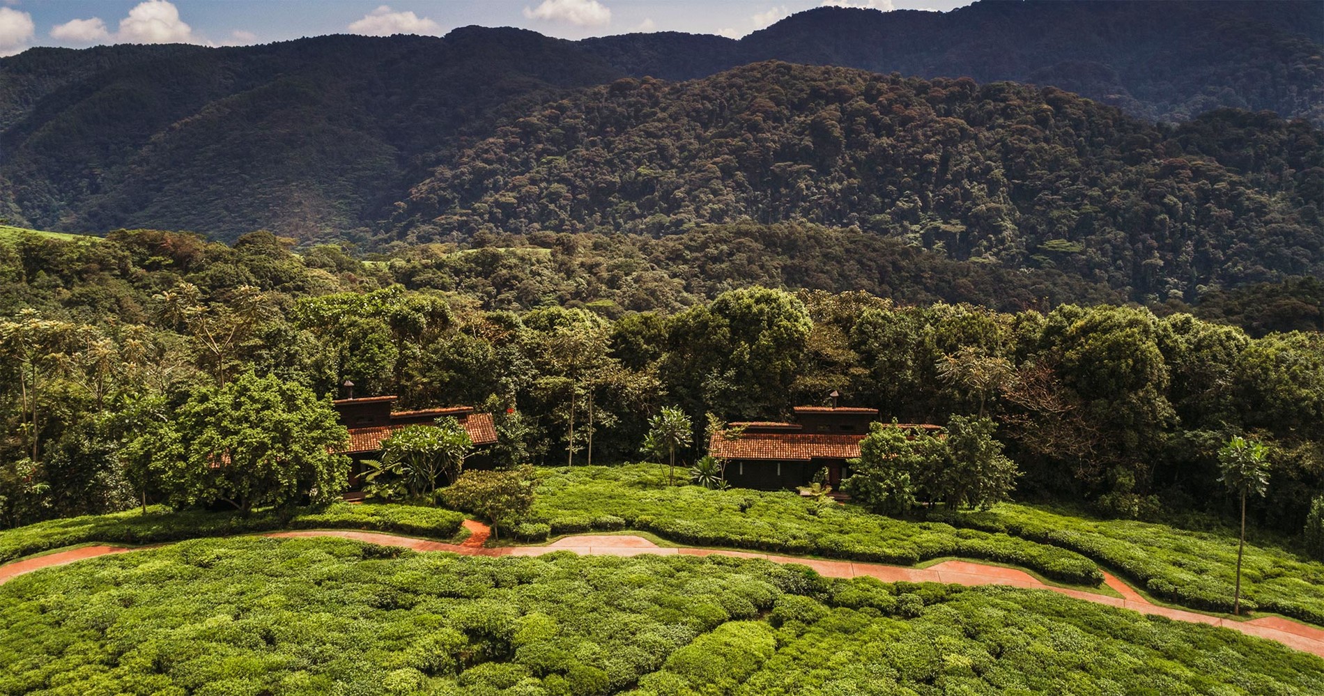 Best Rwanda Lodges & Hotels – Rwanda | Rhino Africa