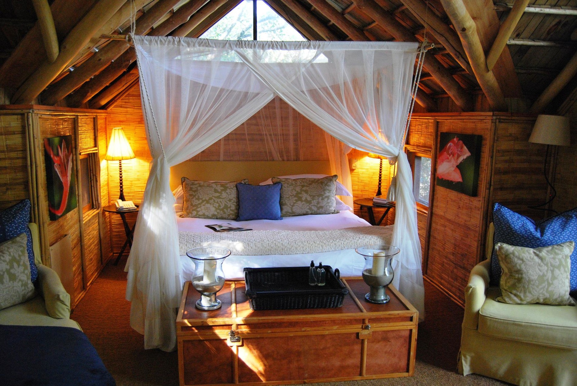 Phantom Forest - Knysna | Rhino Africa