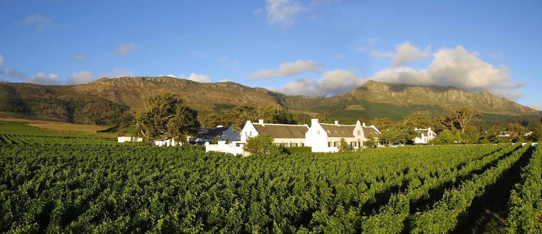 Steenberg Hotel - Constantia Wine Route | Rhino Africa