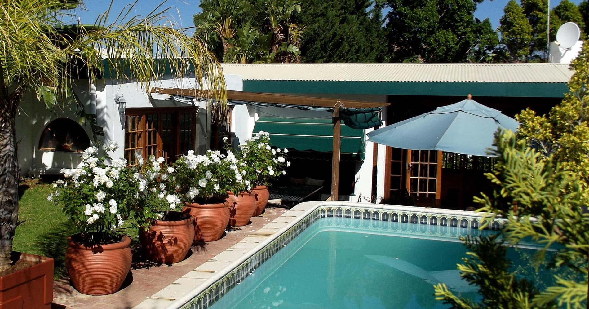 The Olive Tree Guest House - Springbok | Rhino Africa